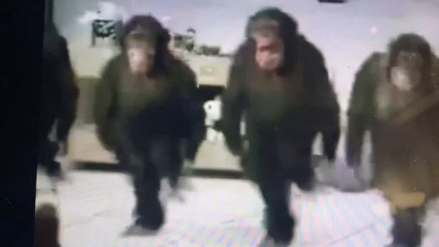 10 ЛЕТ ЖАБЬИМИ ПРЫЖКАМИ