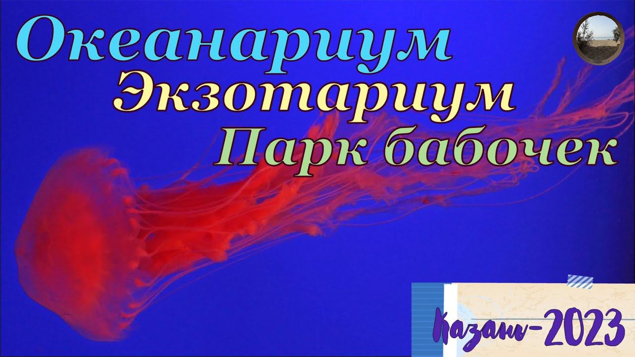 Океанариум, экзотариум и Парк бабочек в Казани