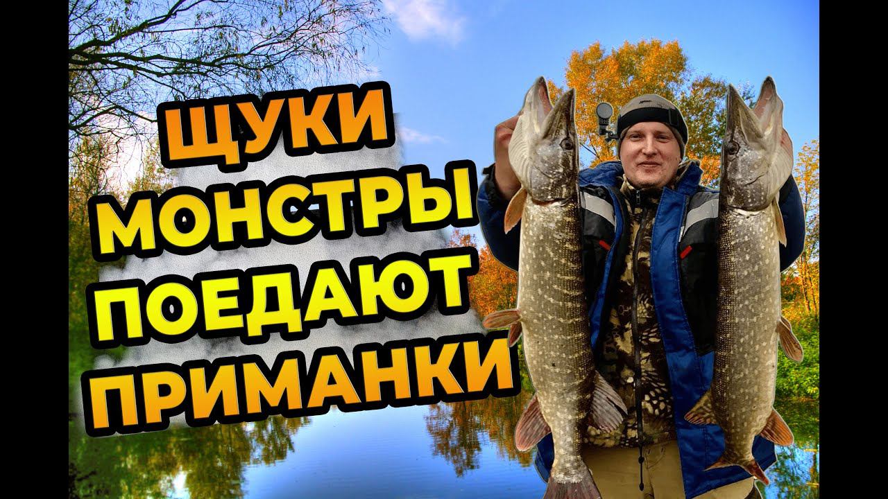 Жор щуки начинается! / Как поймать щуку осенью/ щука на спиннинг