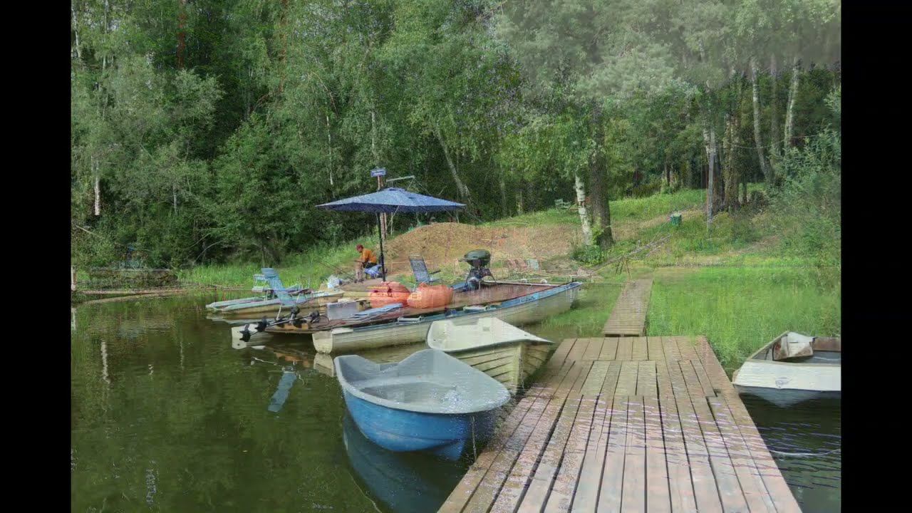 База Отдыха "Родник", начало августа 2024 г.