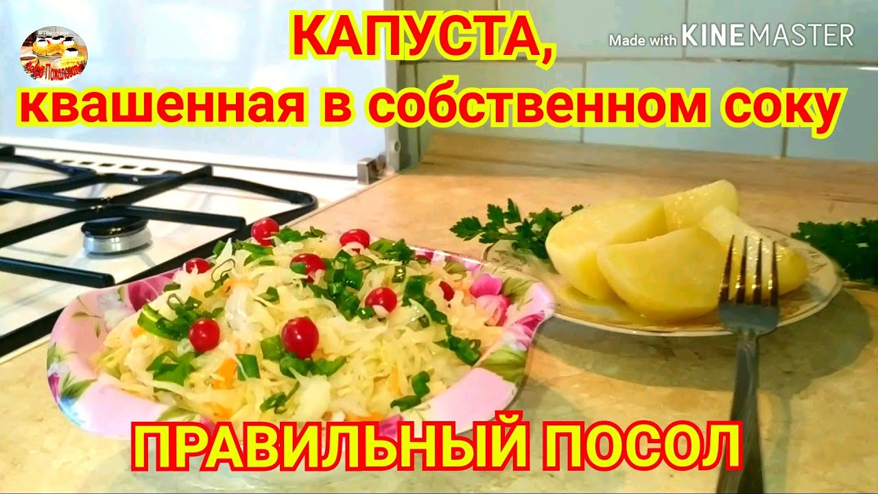 Капуста, квашенная в собственном соку. Как правильно заквасить капусту?