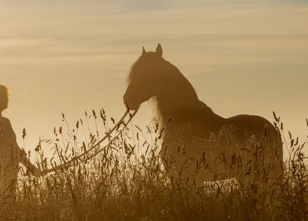 К ИСТОКАМ ЖИВИНКИ...