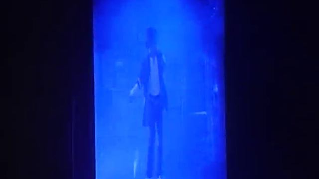 Michael Jackson - Live In Bucharest