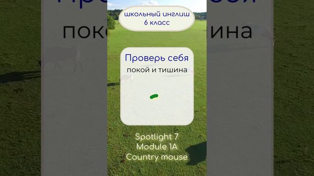 Проверь себя. Переведи с русского на английский Spotlight 7 Module 1A Country mouse