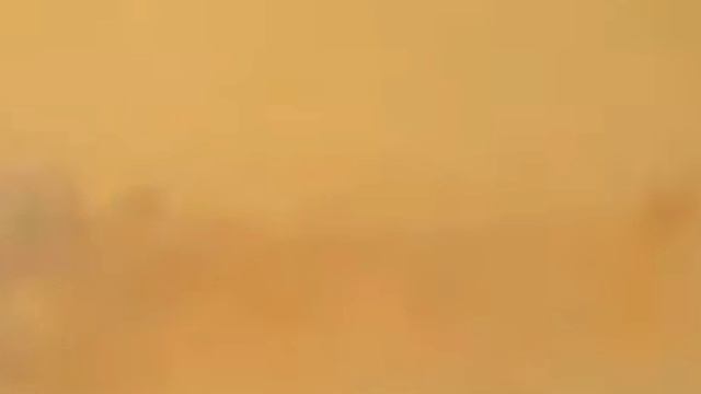 Человек -Венера