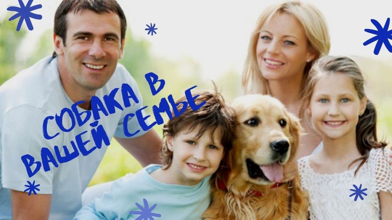 Собака в вашей семье.