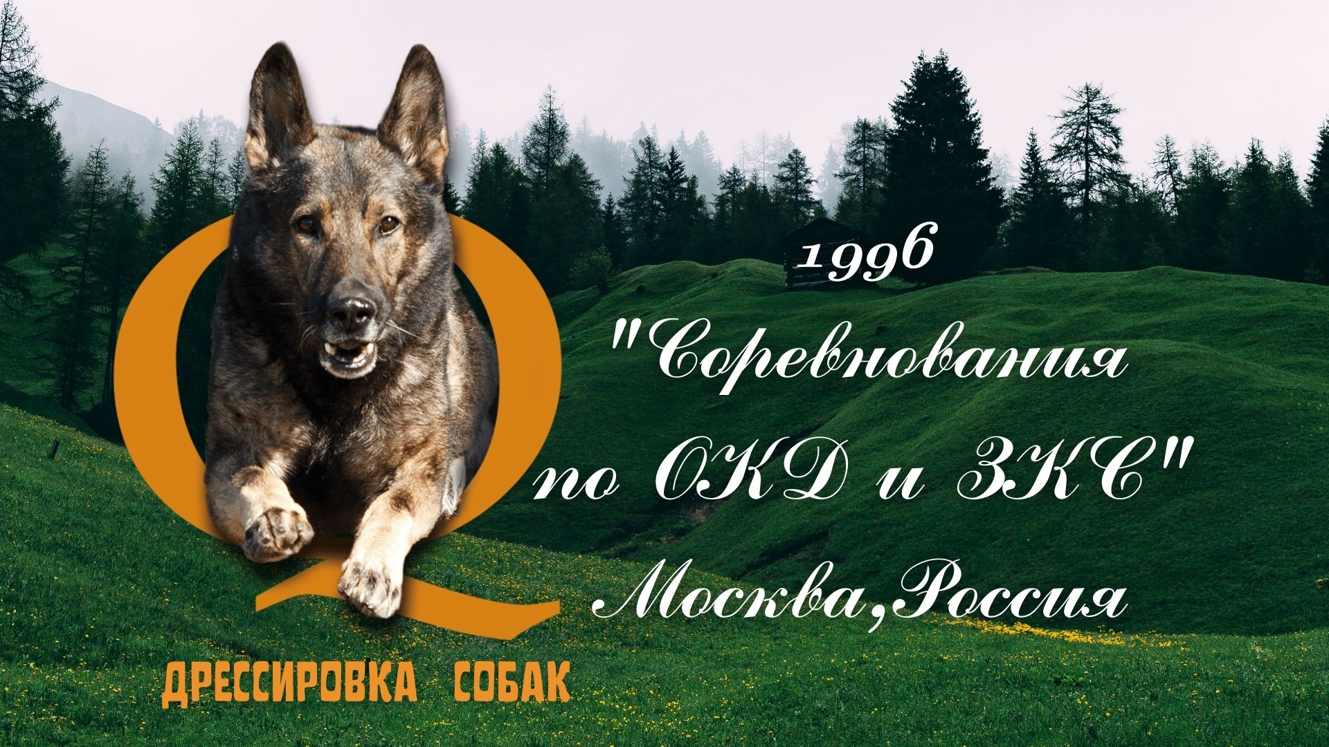 1996 Соревнования по ОКД,ЗКС (Москва,Россия)