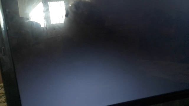 ОБЗОР DVD ДИСКА СЕЗОН ОХОТЫ | OPEN SEASON (2006)