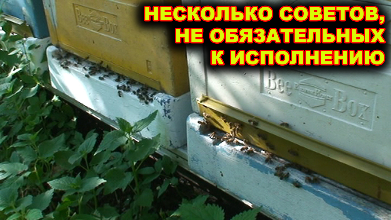 Несколько советов, не обязательных к исполнению.