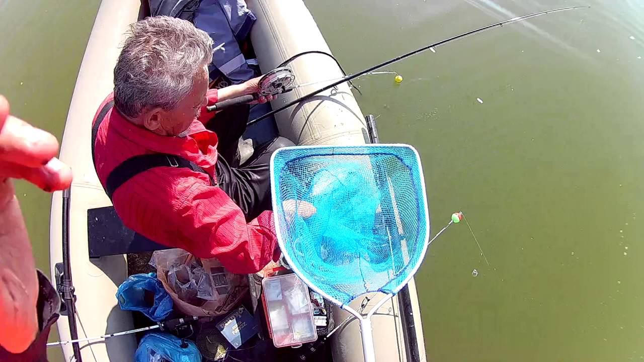 Дон, Елизаветинская 5 июня 2016