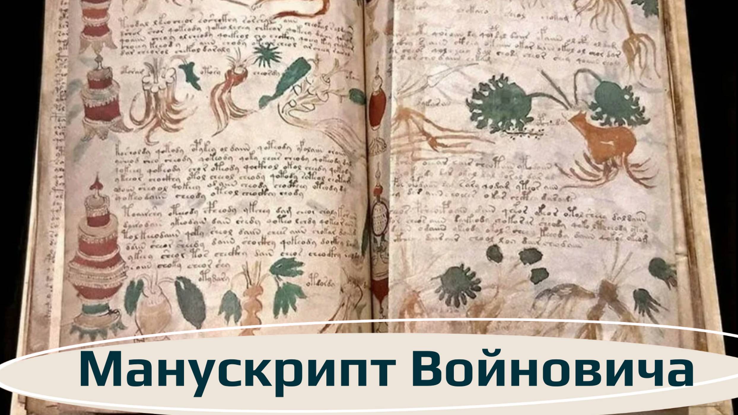 Манускрипт Войновича