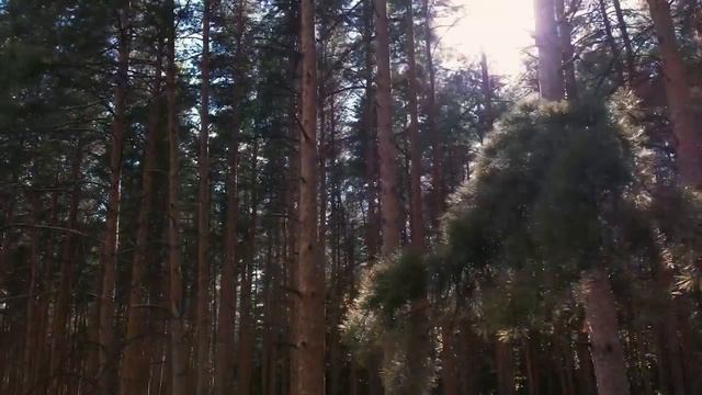 ЖК Терле Парк (Terle Park) в Уфе от ГК Садовое кольцо