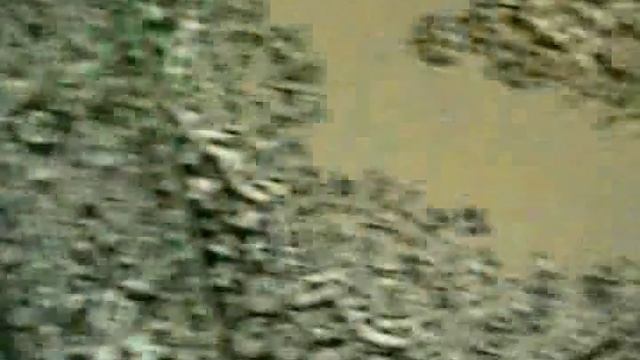 2005.05.26 День рожденья Саши (18 лет)