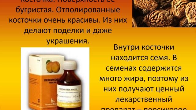 Персик и абрикос биология 7 кл.mp4