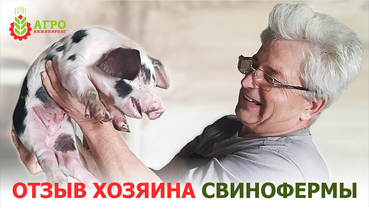 Отзыв хозяина свинофермы о применение экструдированного корма.