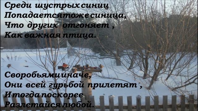 Птицы за окном. Татьяна Логиновская