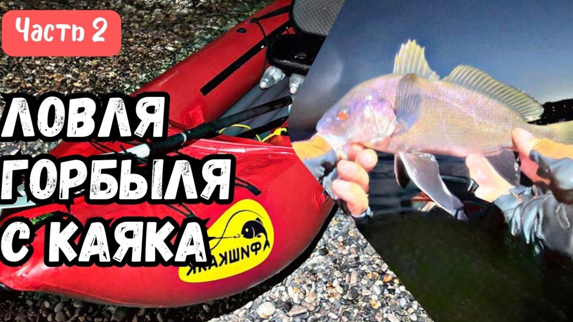 Ловля горбыля с каяка