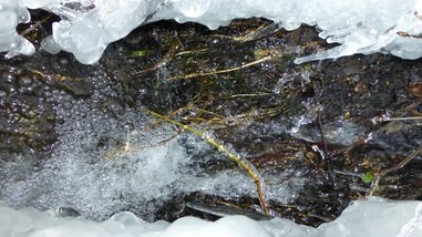 Весенний ручей