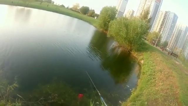 ловля щуки летом!