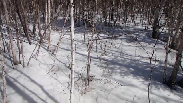 Вспомогательные способы ориентирования. Часть 4