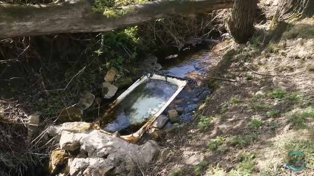 Тульское междуречье 2017 (RC _Крылатые Пингвины_)