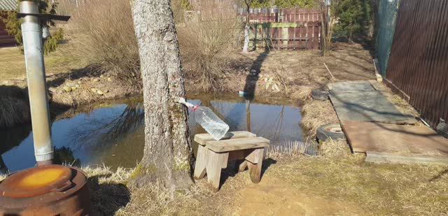 28 марта березовый сок