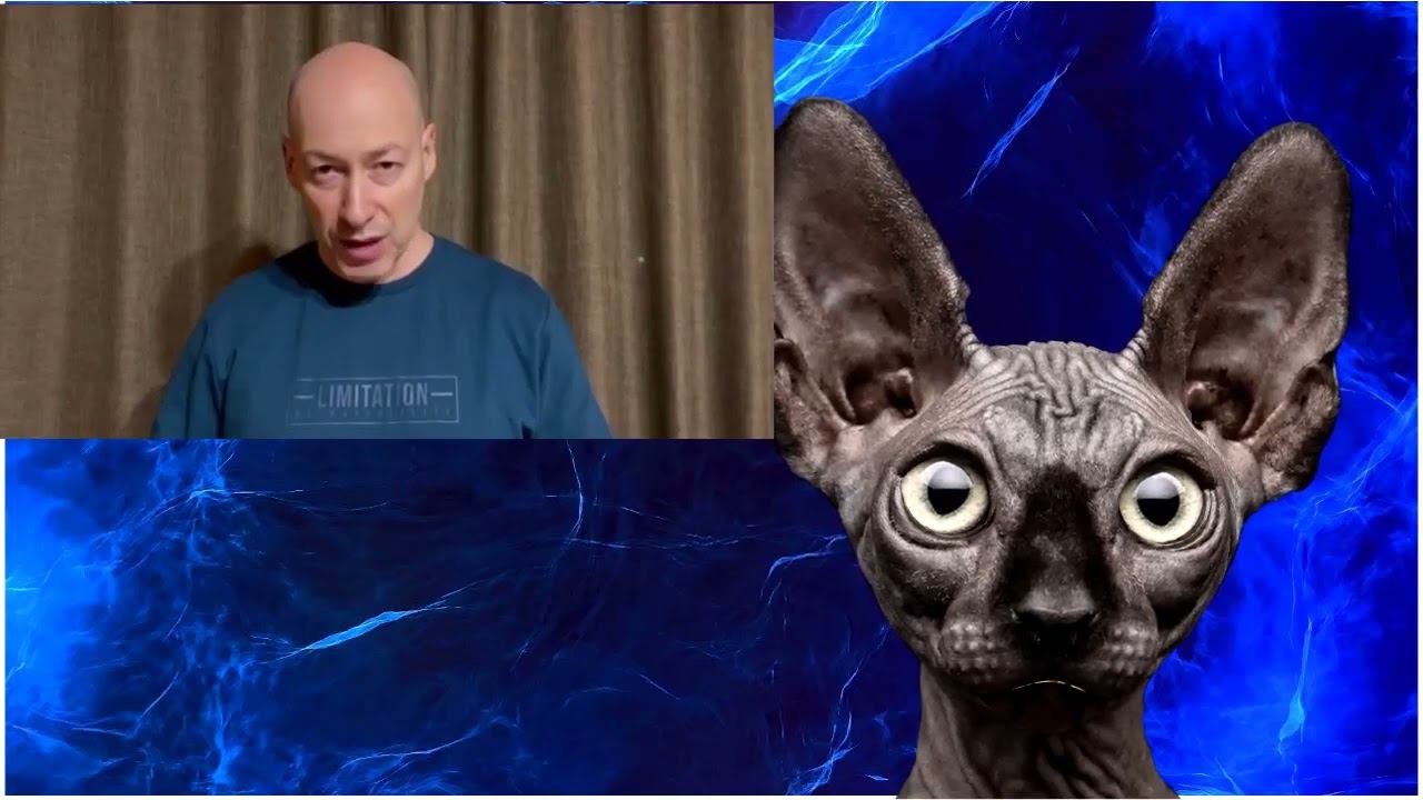 Гуманитарный Гордон