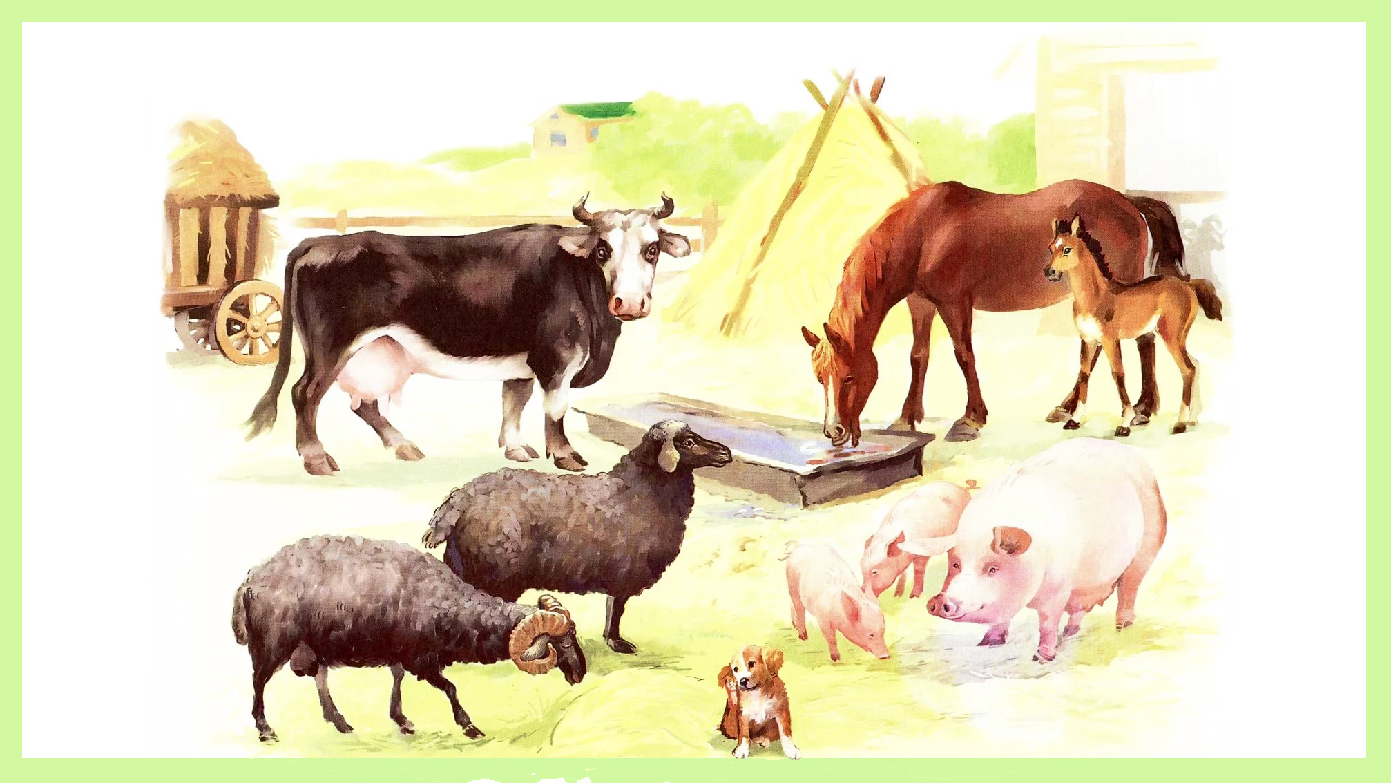 Домашние животные и их детёныши. Обучающее видео для детей