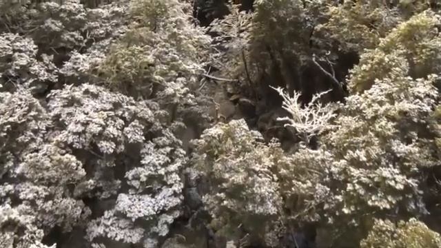 ЗЕМЛЯ РОДНАЯ