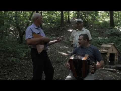 Гаршин С.В. Игра на балалайке.