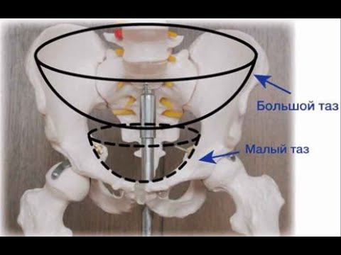 ОТСТРАНИТЬ БОЛЬ В ТАЗОБЕДРЕННОМ СУСТАВЕ ВОЗМОЖНО.