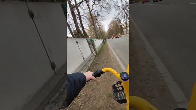 Питер. Крестовский остров и Каменный остров