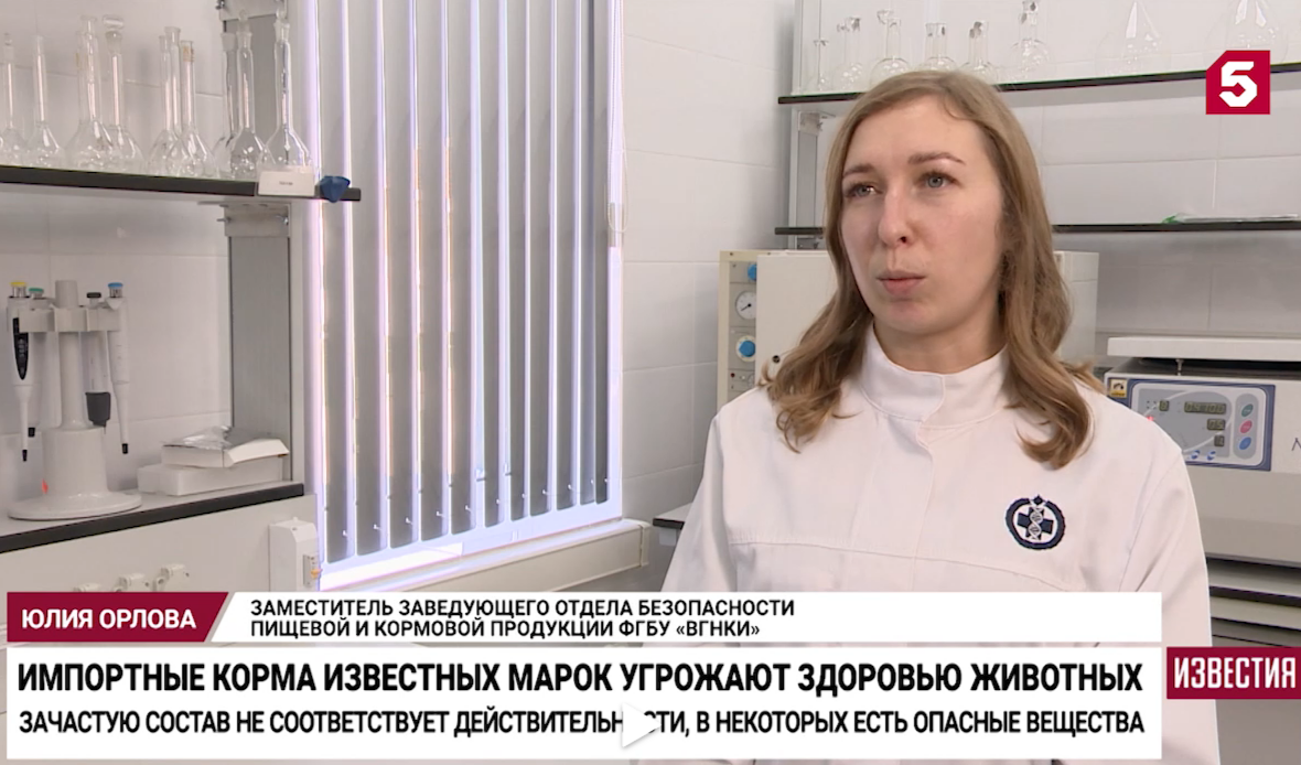 О кормах для домашних животных, программа "Известия",  Пятый канал