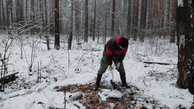 ГОСТИ в ЗЕМЛЯНКЕ | принёс новый ТОПОР | избавляюсь от плесени | ЛЕСНАЯ ХИЖИНА ☀ 4.11.22