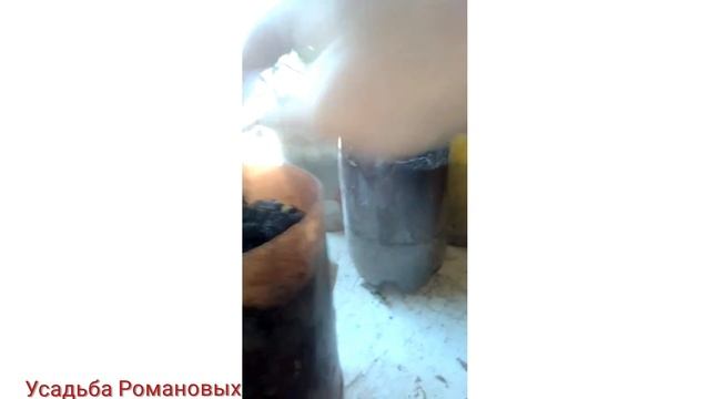 Рассада 2018г