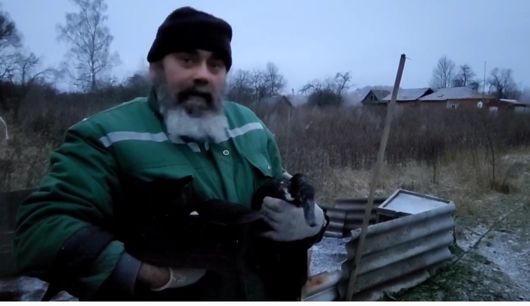 Новоселье уток. Автономный зимний утятник. 3 часть. Housewarming ducks. Autonomous  duckling. Part 3