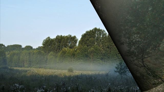 сплав  16-18 08 2021 Рыльск Глушково Сейм.mp4