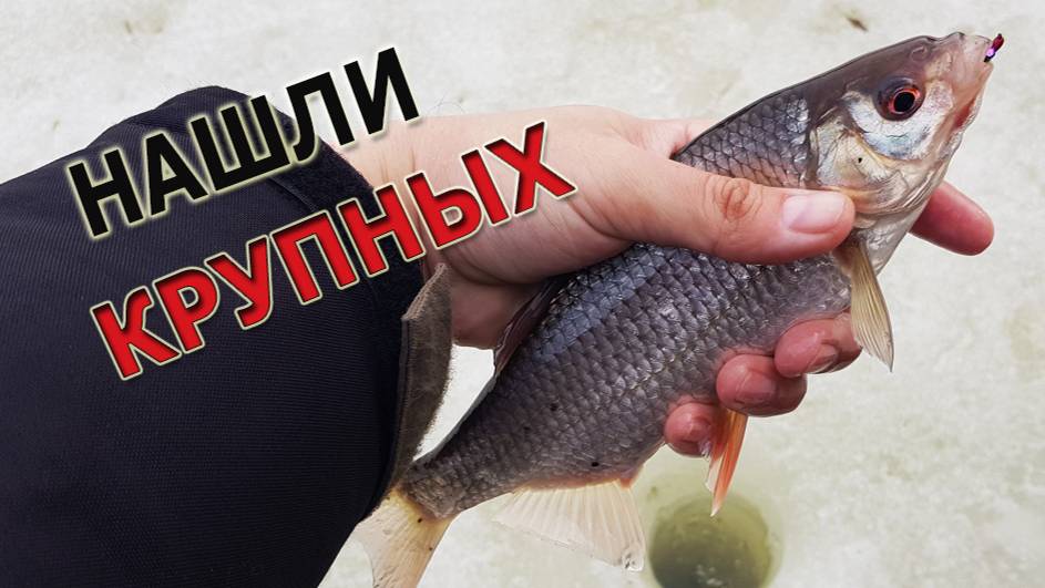 Удачное закрытие сезона - окунь и крупная плотва на безмотылку