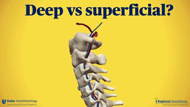 Блокада шейного сплетения