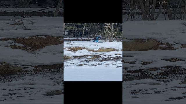 Неожиданный выезд из леса на Домбае