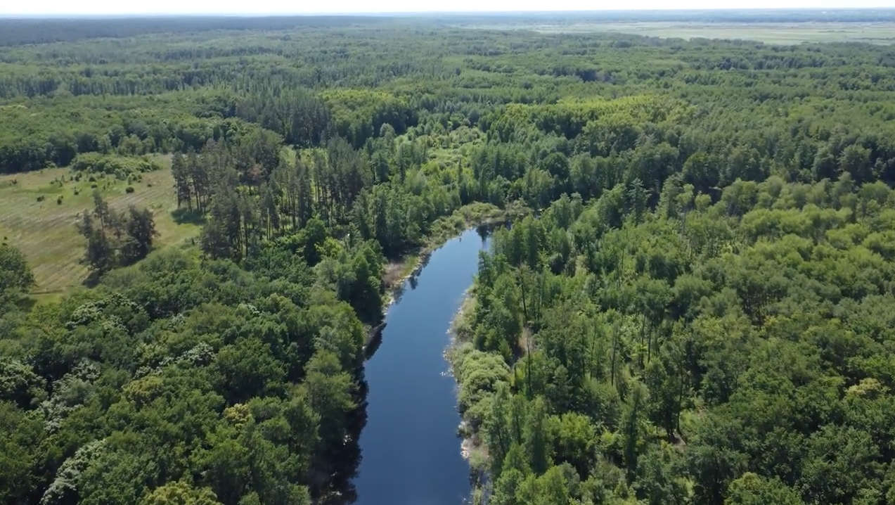 Озеро Тюковное с высоты птичьего полёта. Качество видео 4К