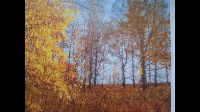 Стихи о жизни    Счастье Веры ларец    Татьяна Логиновская