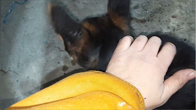 Пришёл на работу