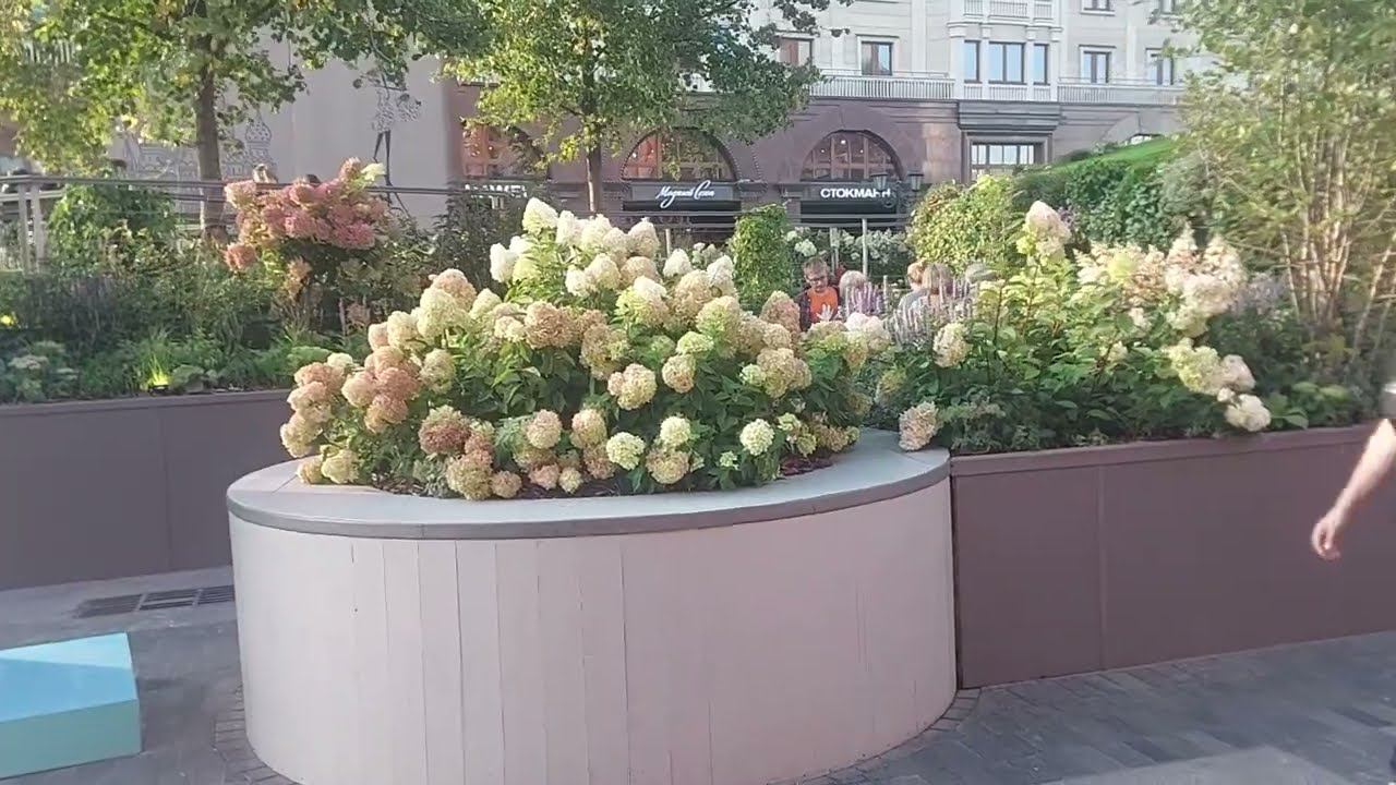 Фестиваль "Цветочный джем". Около метро Театральная (01.09.23)