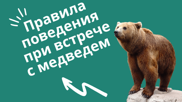 Экопросвещение