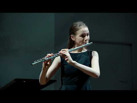 Трейлер концерта «Музыкально-поэтическое окно в Австро-Венгрию»