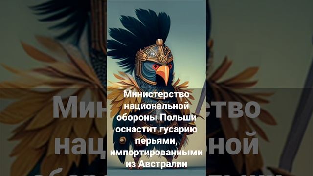 Министерство национальной обороны Польши оснастит гусарию перьями, импортированными из Австралии