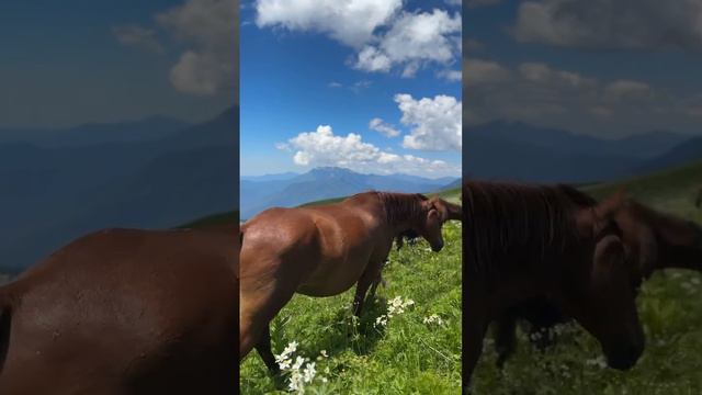 Путешествуй с родниковой водой «Вечно Молодой»