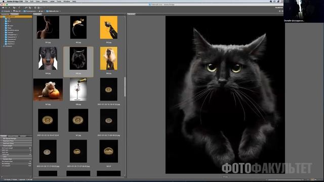 Лекция лучшего рекламного фотографа России Игоря Сахарова