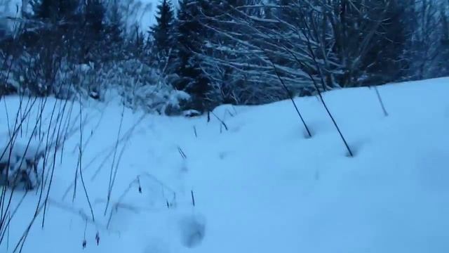 В гости к Демянскому отшельнику. 2015